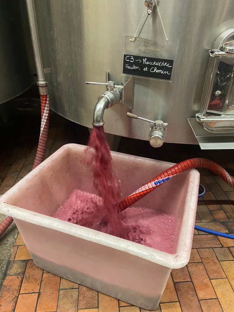 Red Wine Making Summary | WanderCurtis Wine
