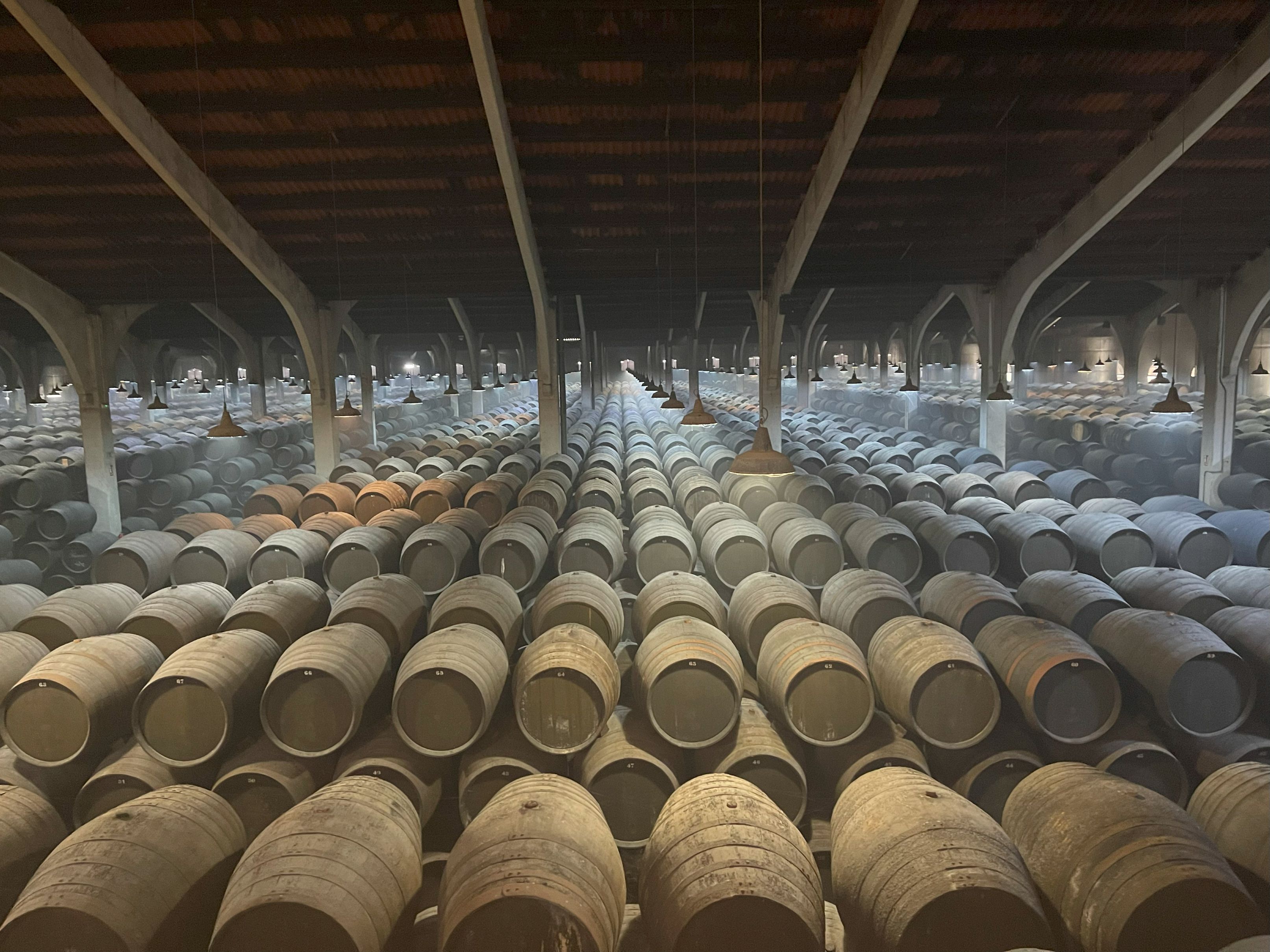 Bodegas Valdespino’s cellar | WanderCurtis Wine