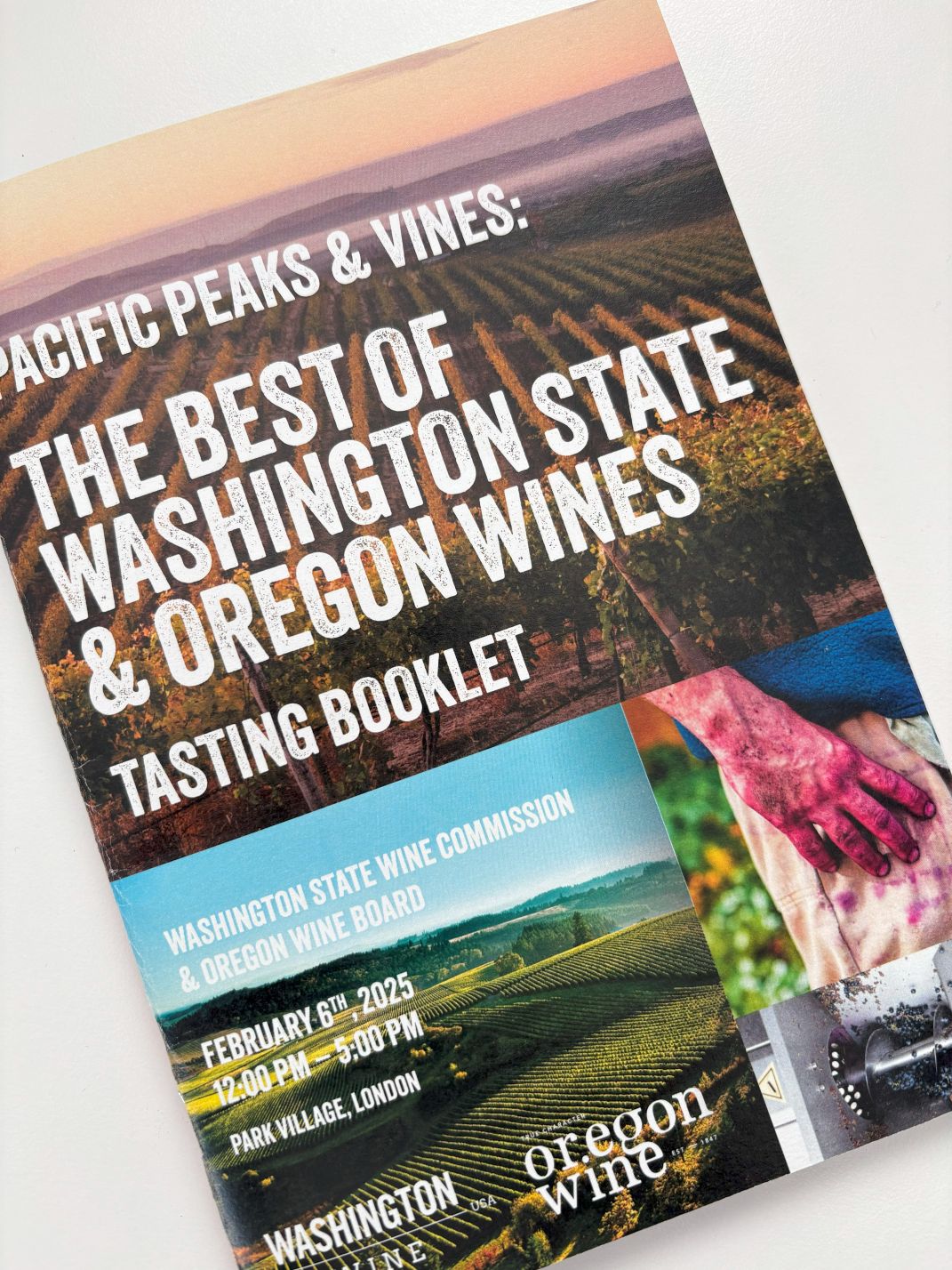 Washington State Wine | WanderCurtis Wine